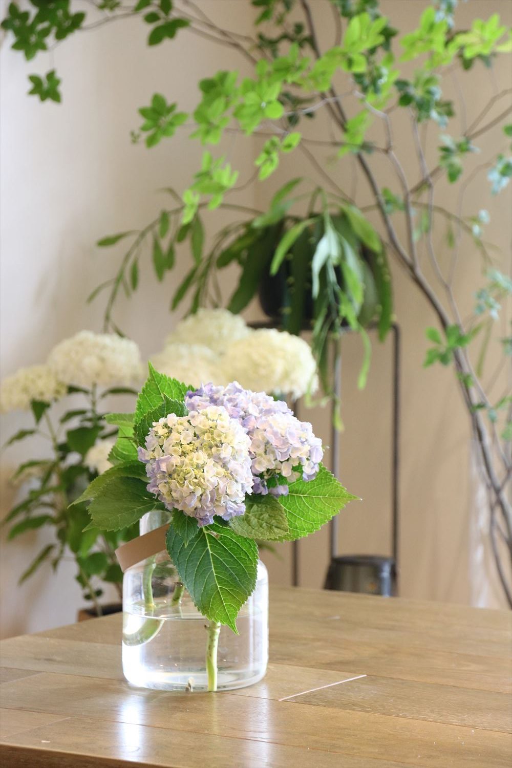 WEBマガジン「TOKOSIE」にLOHAS studioの事例が掲載されました！～5人家族のマンションリノベーション～ | LOHAS studio Blog ｜リフォーム・マンション ...